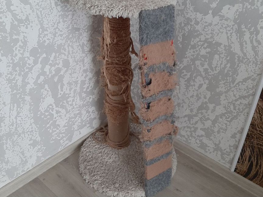 Когтеточка для кошек высокая