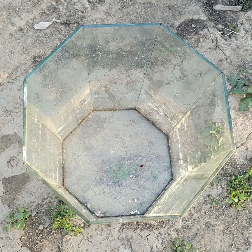 Террариум многогранный