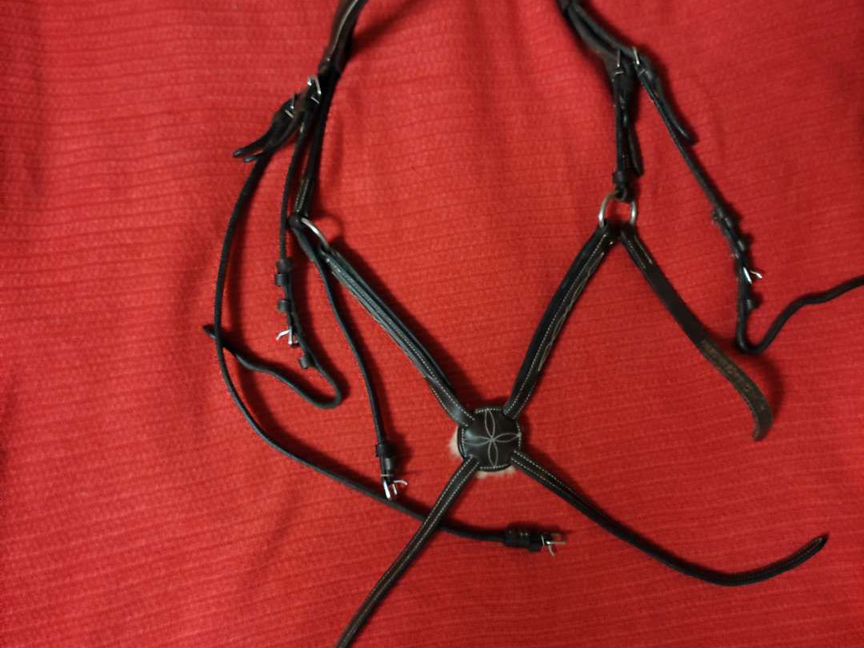 Уздечка, капсуль