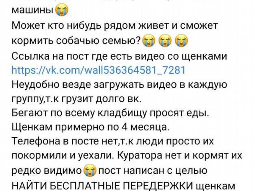 Помощь животным в отлове и защите