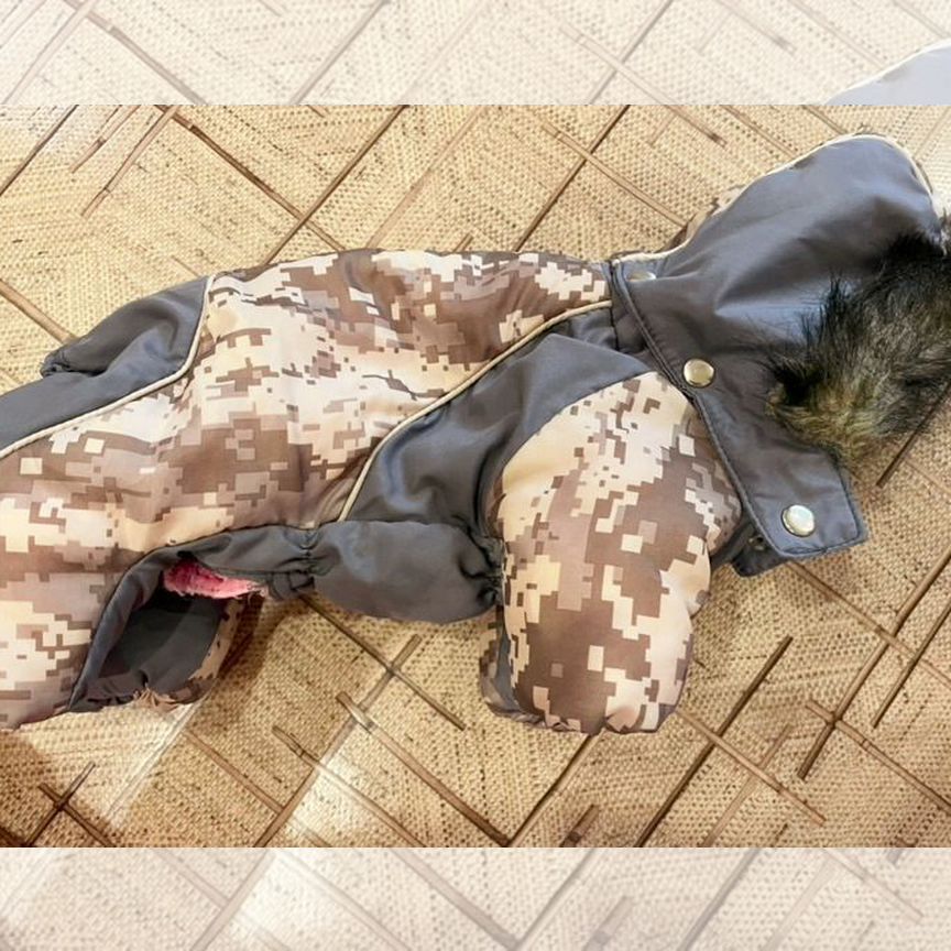 Зимний костюм на собаку мелкой породы