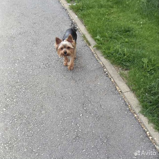 Мини ерки ищет девочку