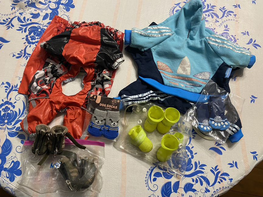 Одежда для собак мелких пород