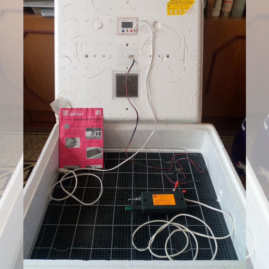 Инкубатор для яиц автоматический бу