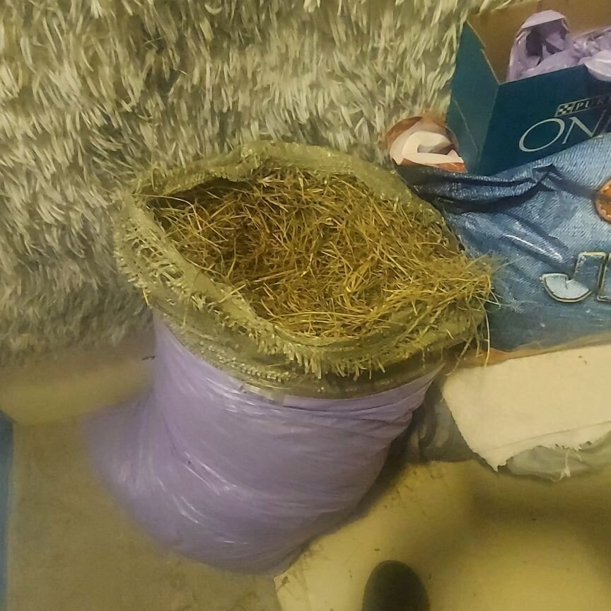 Сено для грызунов и травоядных