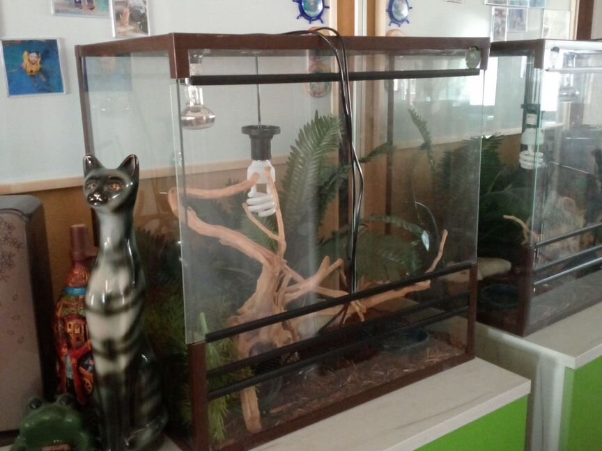 Террариум для рептилий бу