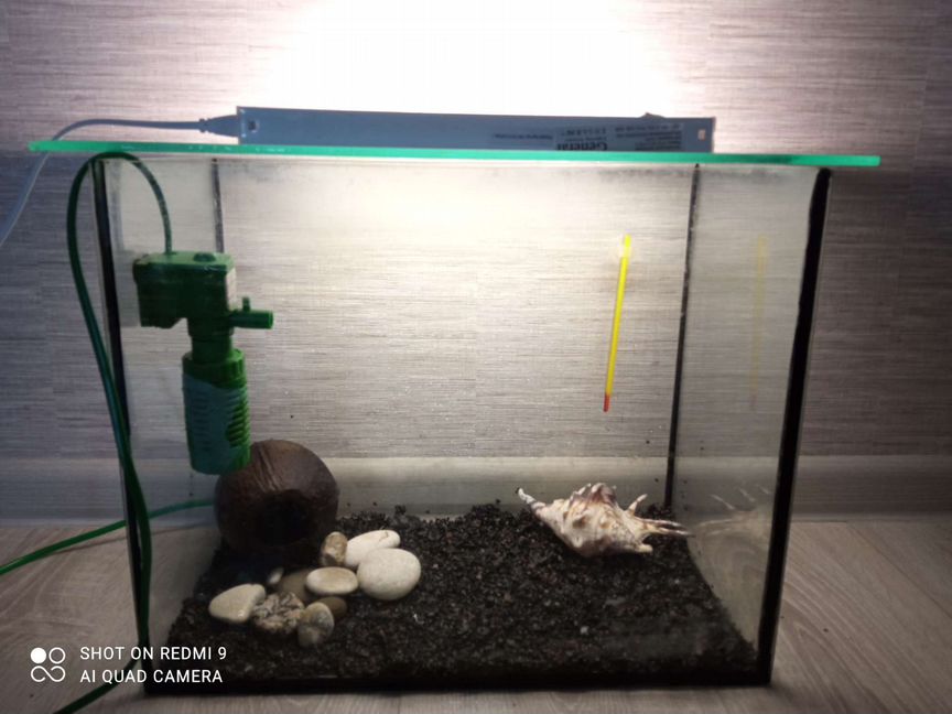 Аквариум с рыбками