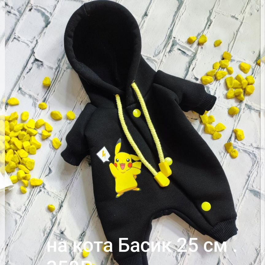 Одежда для кота басика