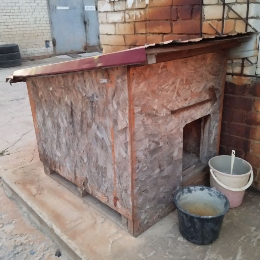 Собачья будка