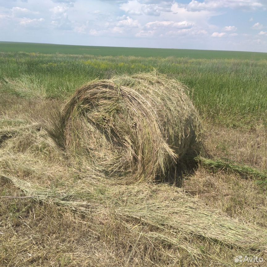 Сено в рулонах