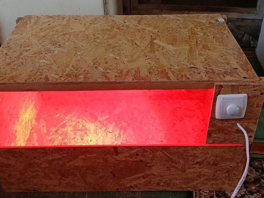 Брудер для цыплят