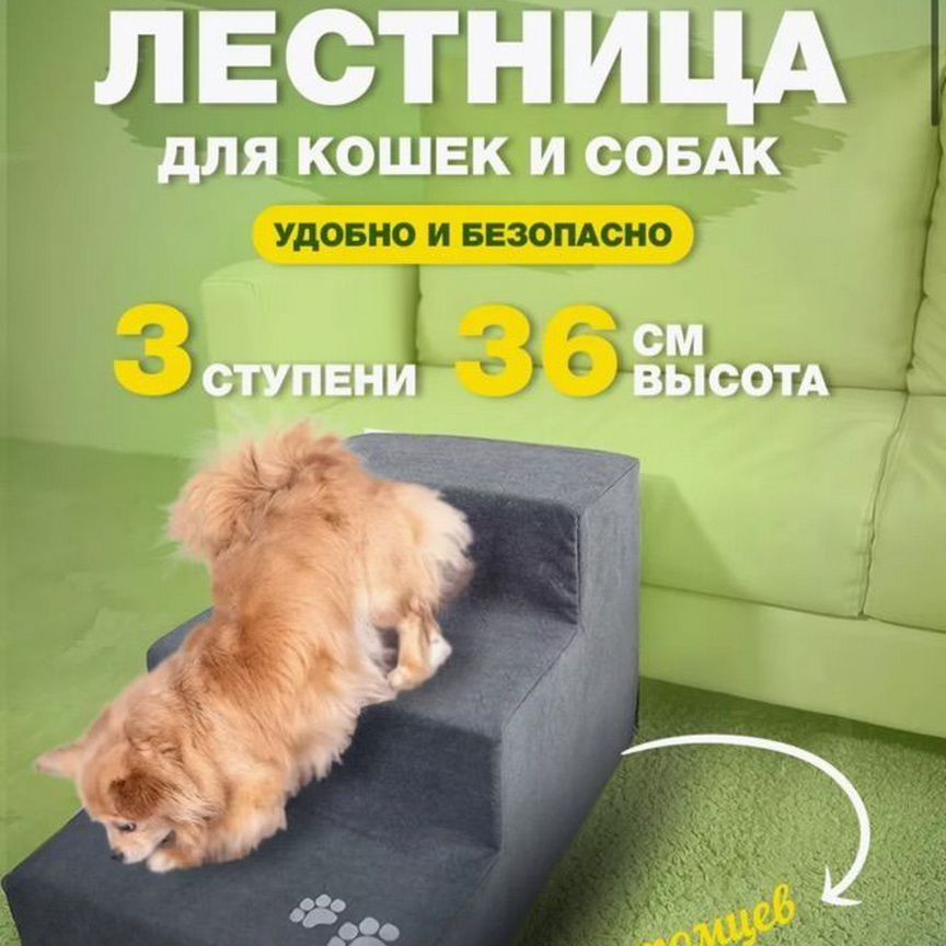 Лестница для собак