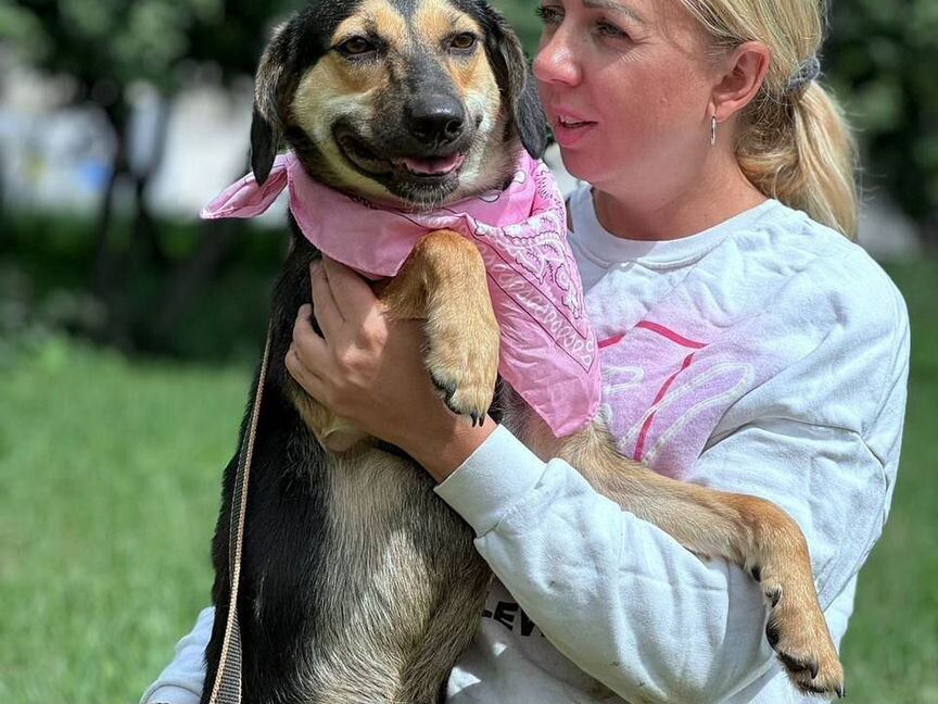 Красотка Тутси ищет дом