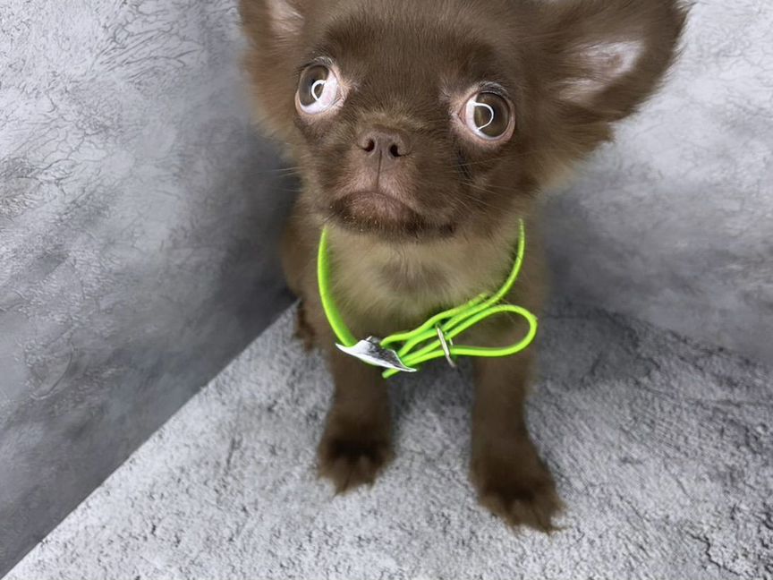 Super mini малыш