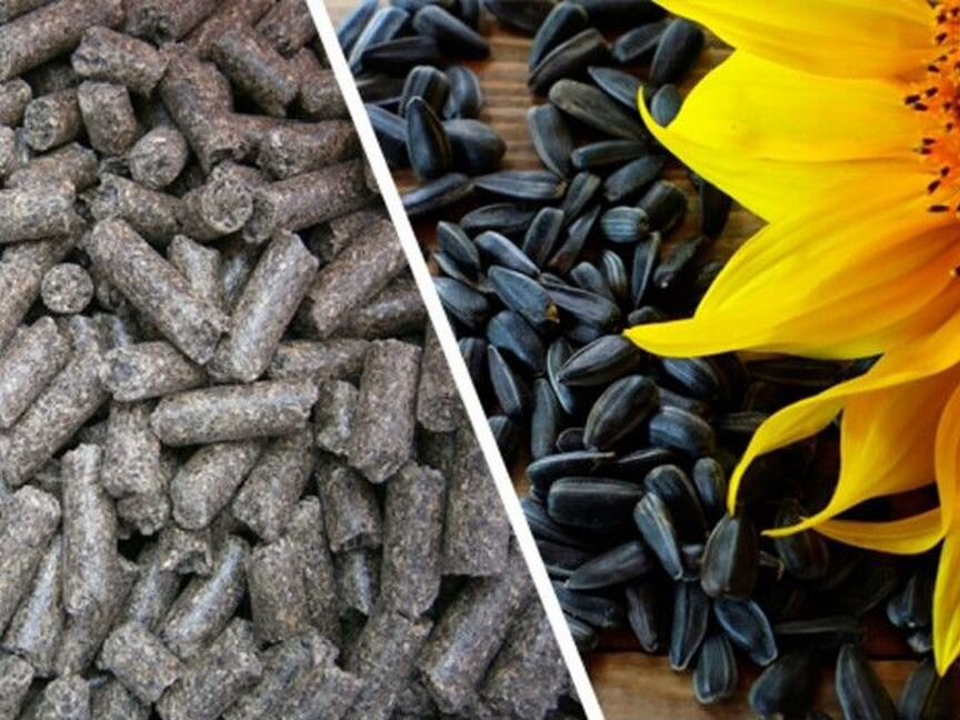 Жмых подсолнечный 36 гост с доставкой