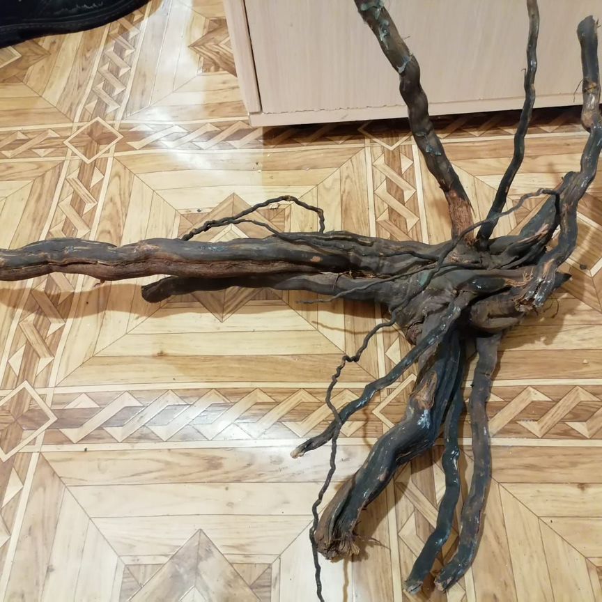 Коряги для аквариума