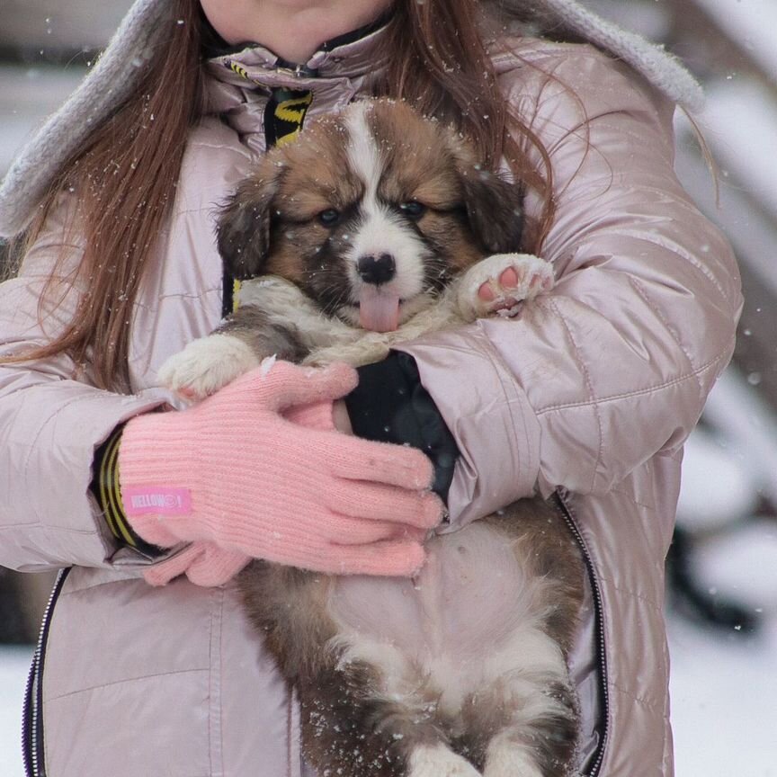 Кардиган флаффи