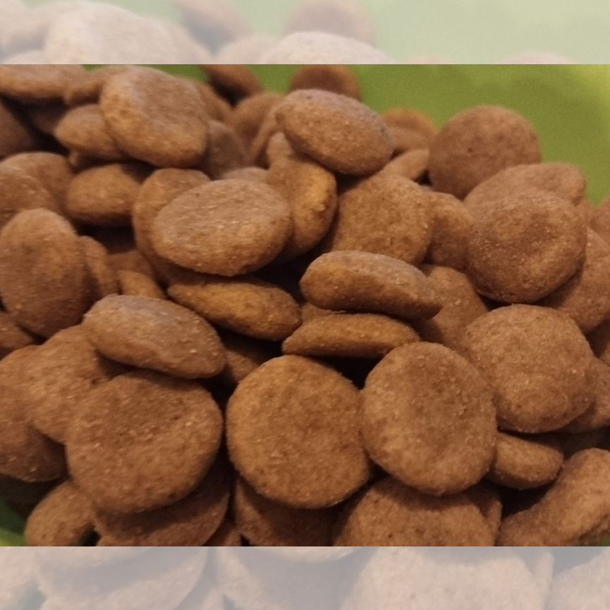 Сухой корм для собак