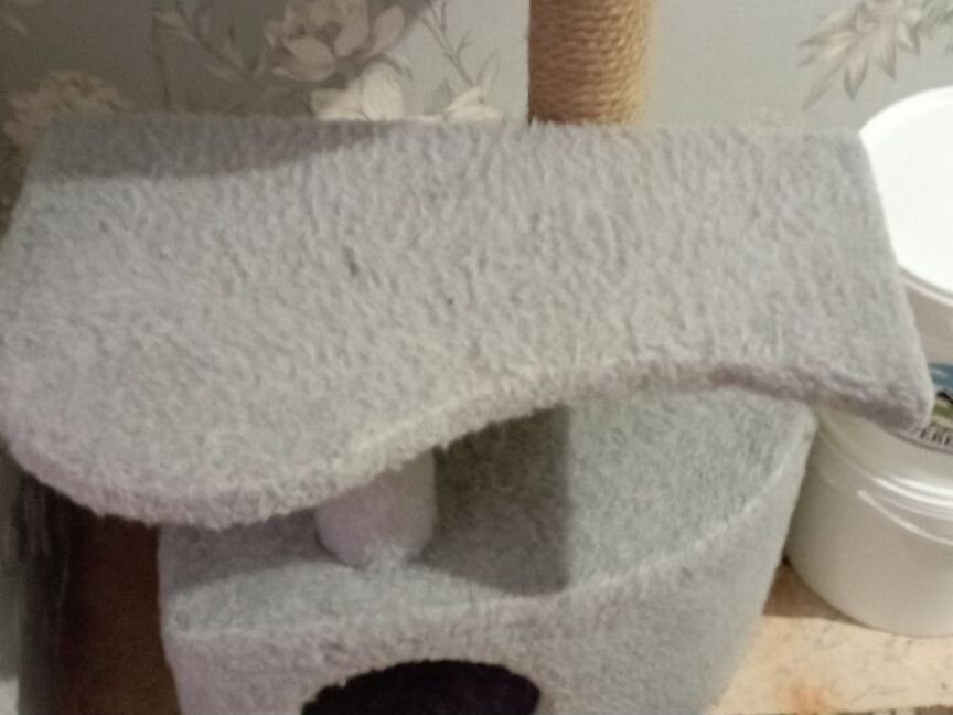 Домик для кошки с когтеточкой бу