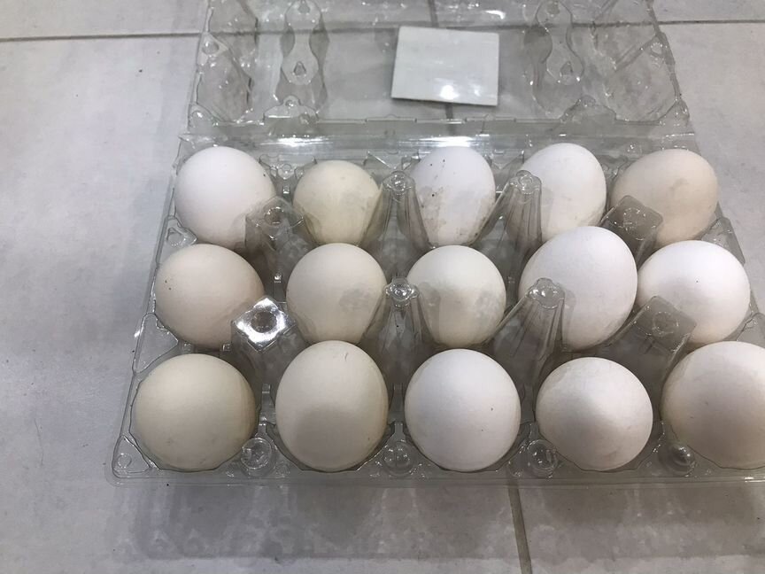 Яйца куринные домашние