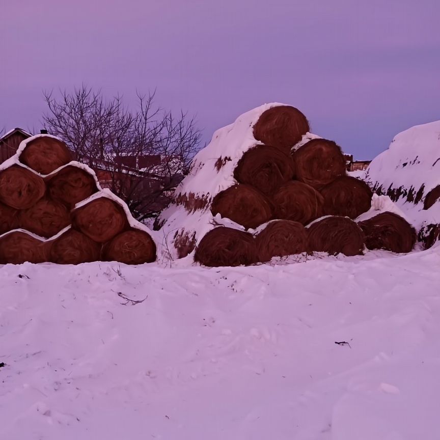 Продам сено в рулонах