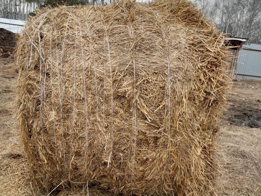 Продам солому,сено