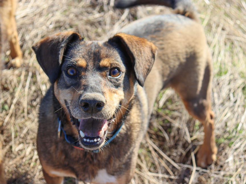 Жорик бежит к вам