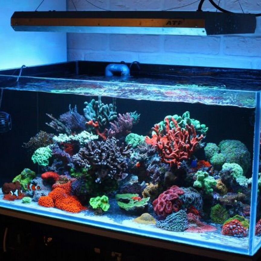 Аквариум на заказ