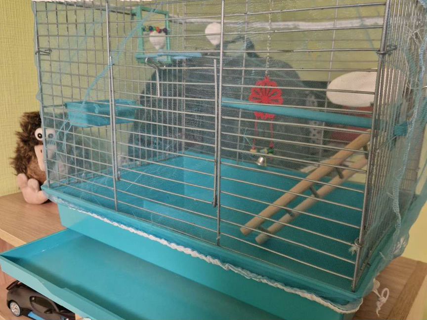 Клетка для попугая бу