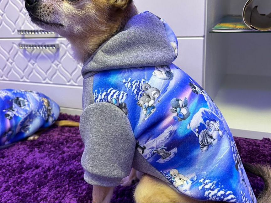 Одежда для собак