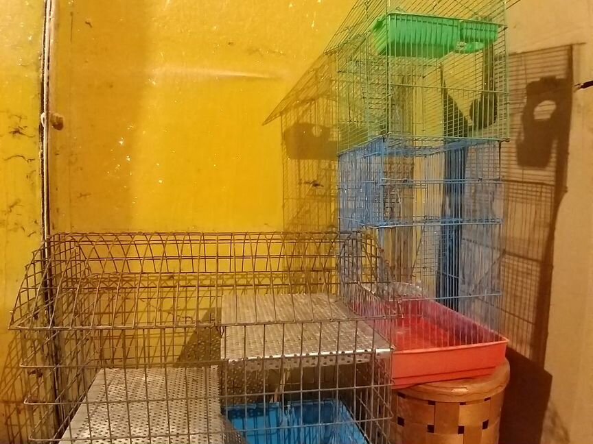 Клетка для грызунов большая