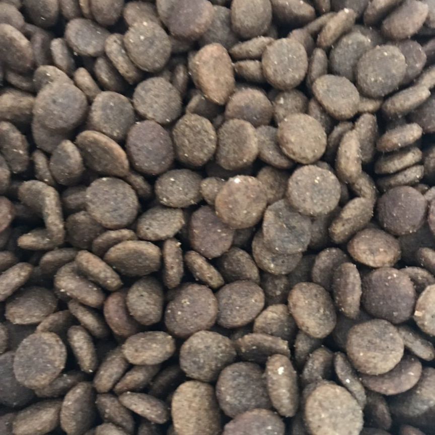 Monge gastrointestinal для собак