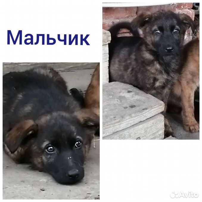 Мамочка забери меня