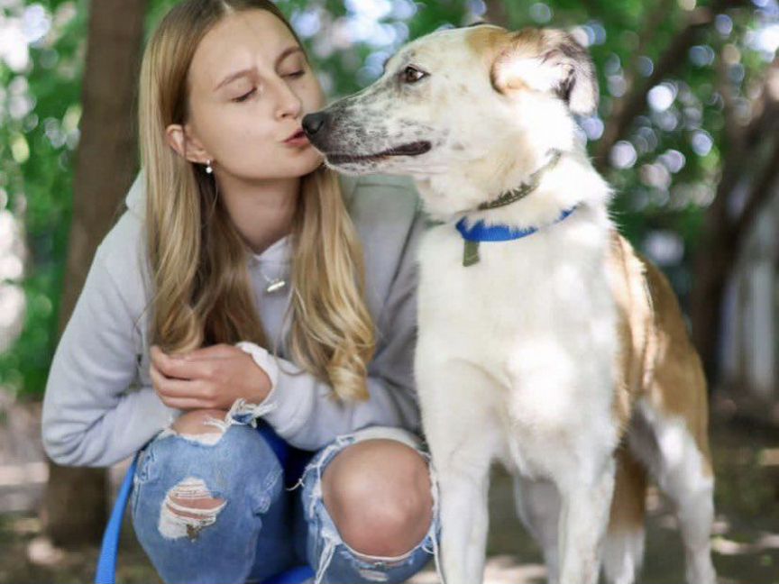 Отдам в добрые руки Лолита