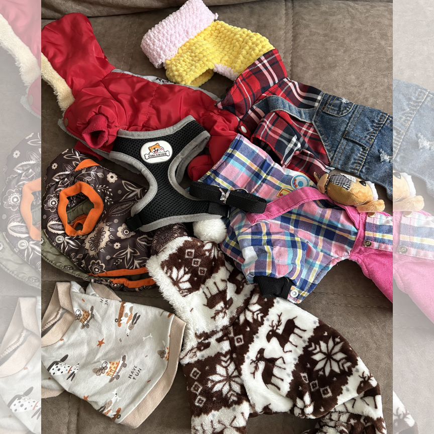 Одежка для собак мелких пород