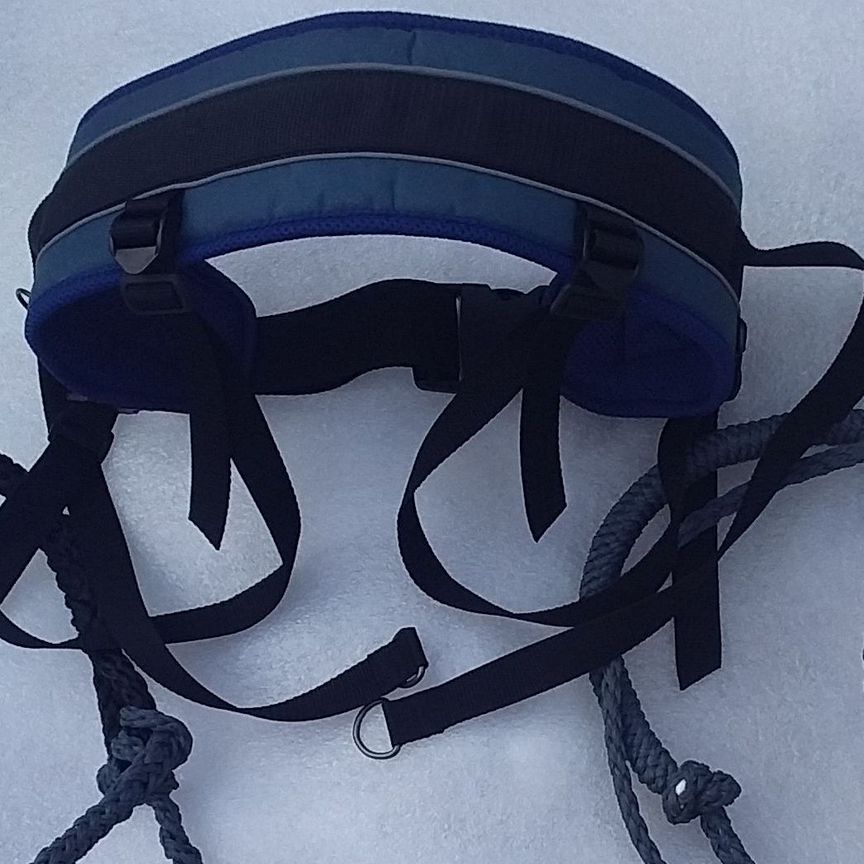 Пояс для бега с собакой