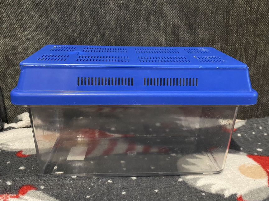 Переноска террариум