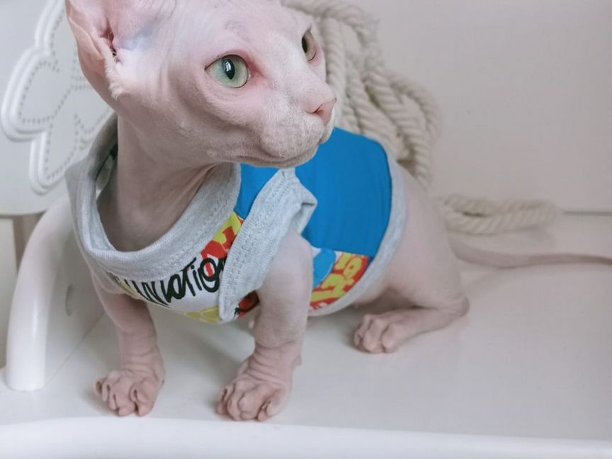 Двэльф Двельф