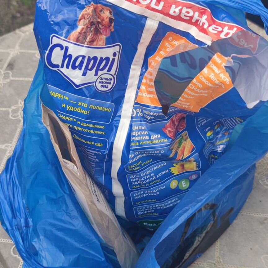 Собака в добрые руки отдам бесплатно