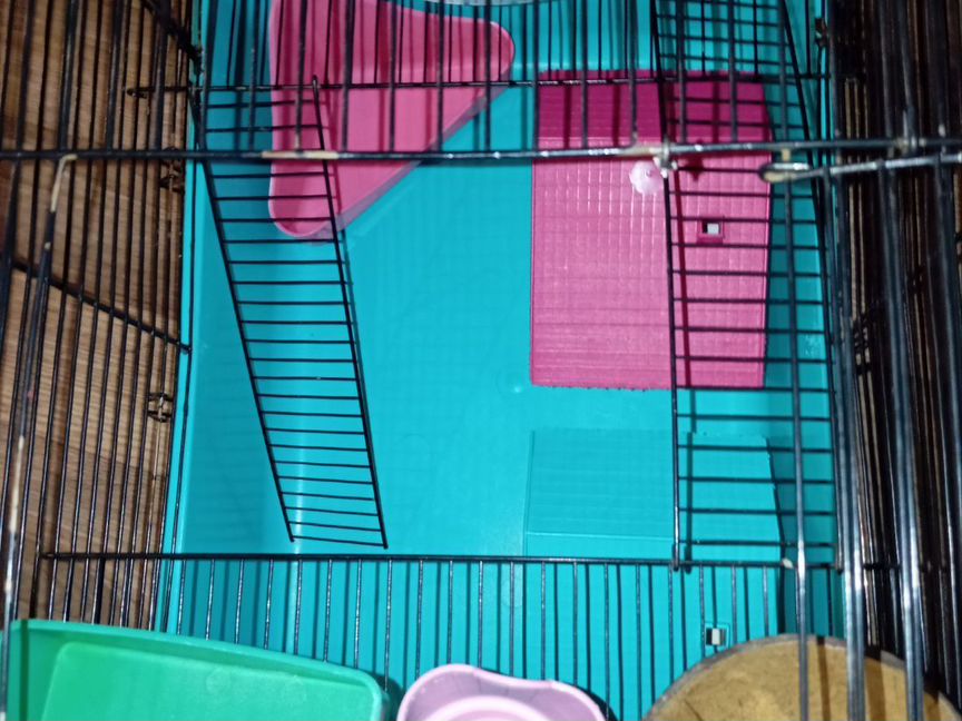 Клетка для грызунов бу