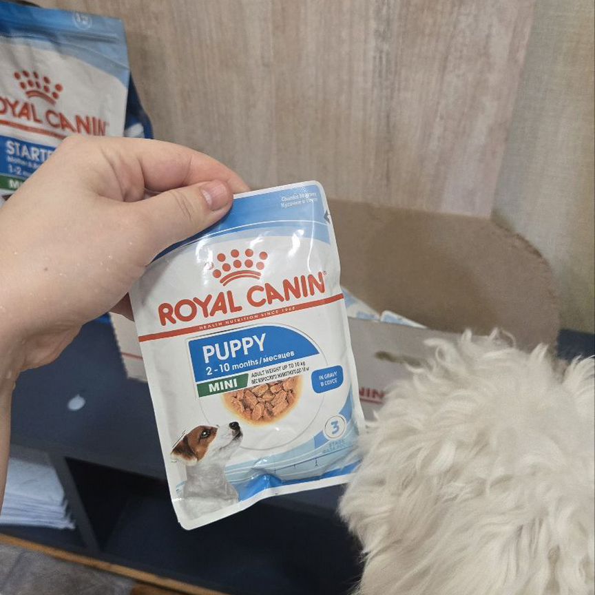 Royal canin puppy mini