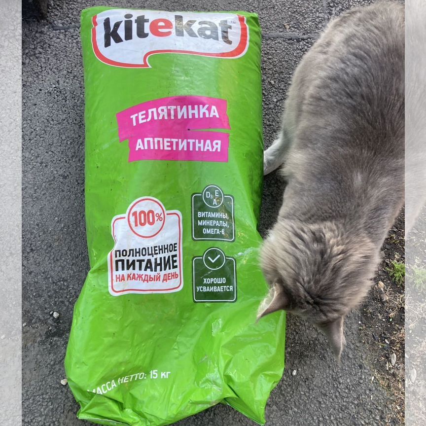 Корм для кошек китикет 15 кг
