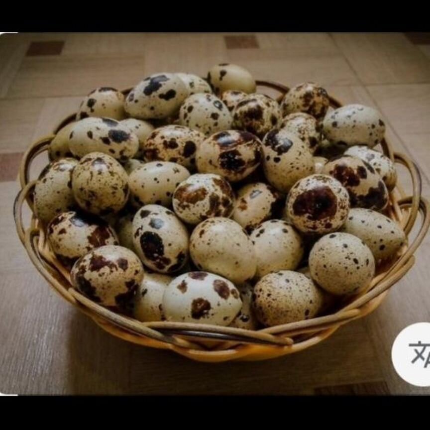 Яйцо перепелиное