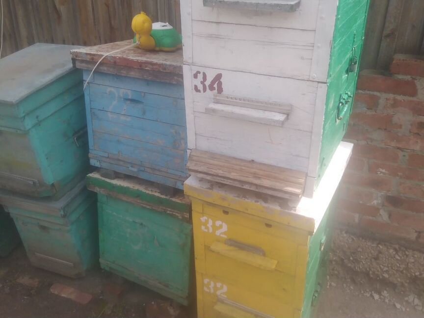 Ульи для пчел