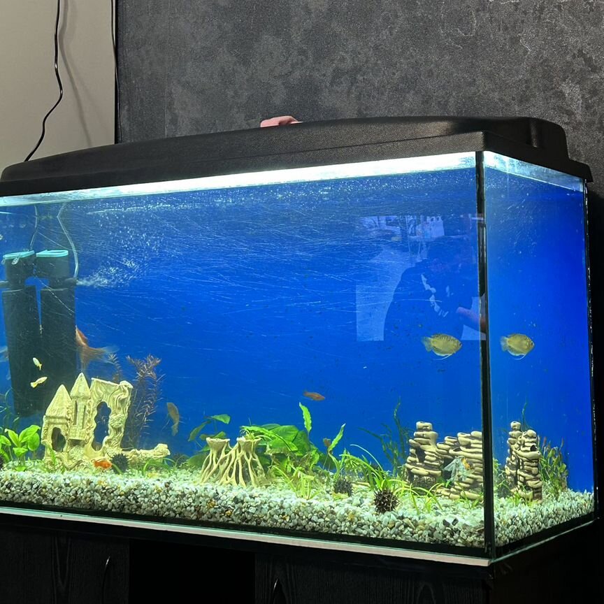 Аквариум 200 литров (стекло)