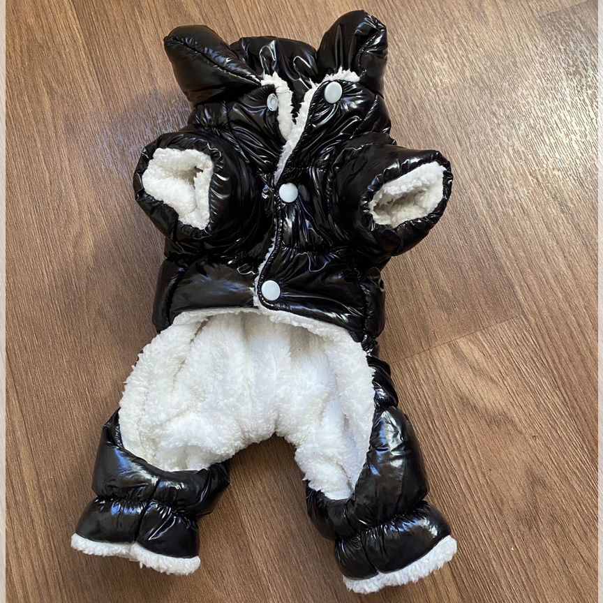 Одежда для маленьких собак