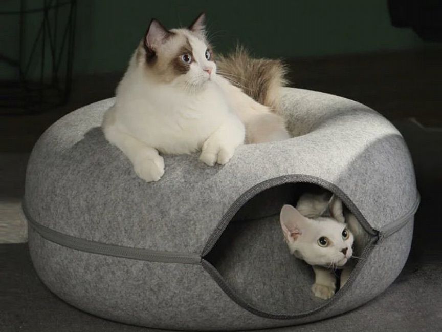 Домик, лежанка для кошек