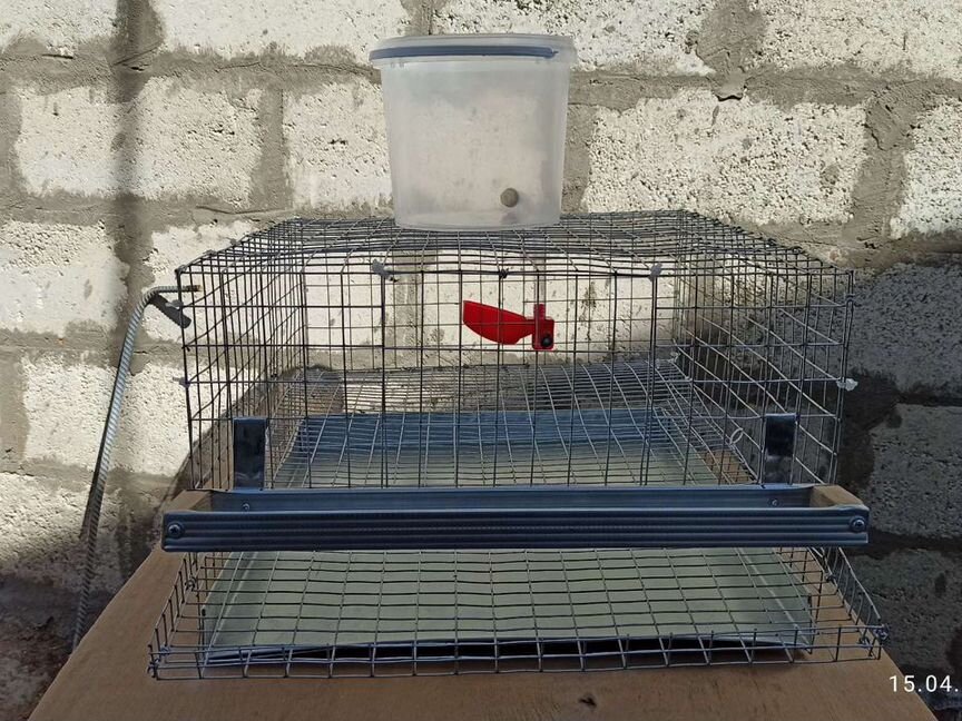 Клетка для перепелов