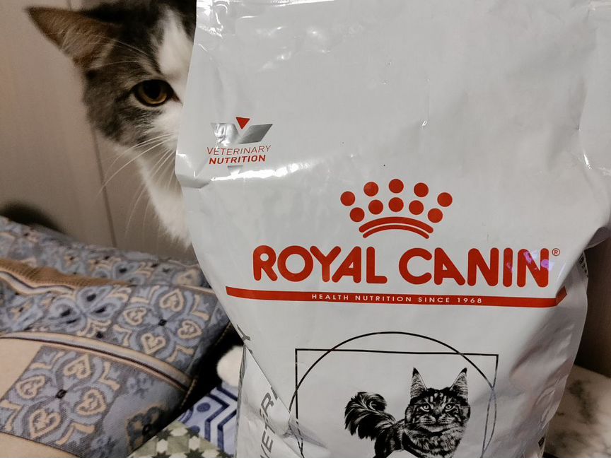 Сухой корм для кошек