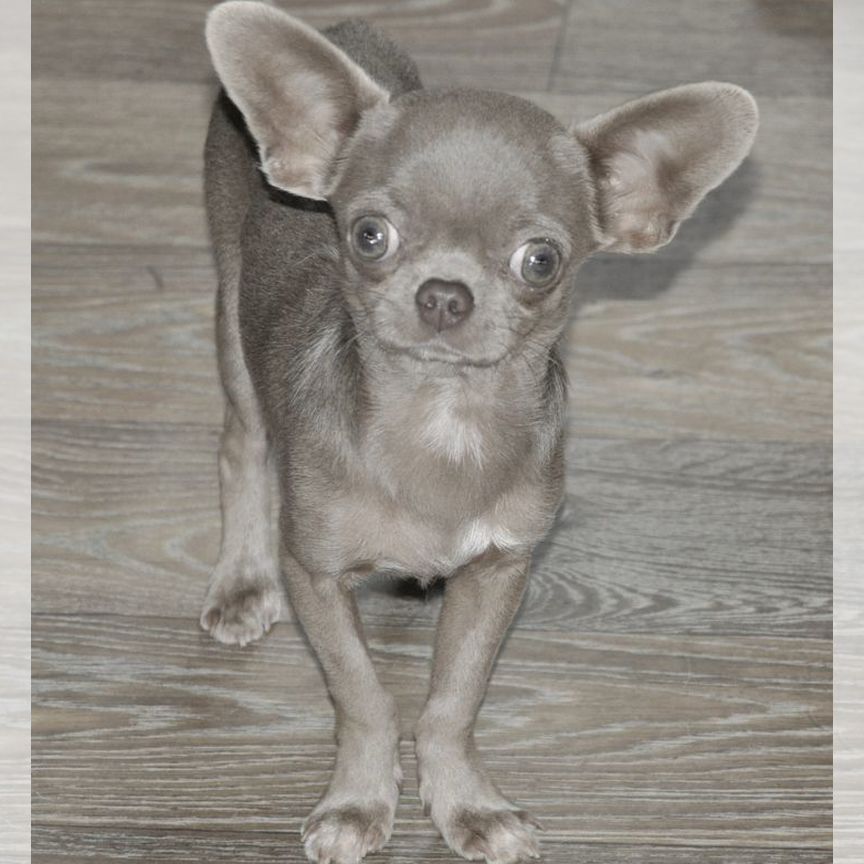 Маленький мальчик